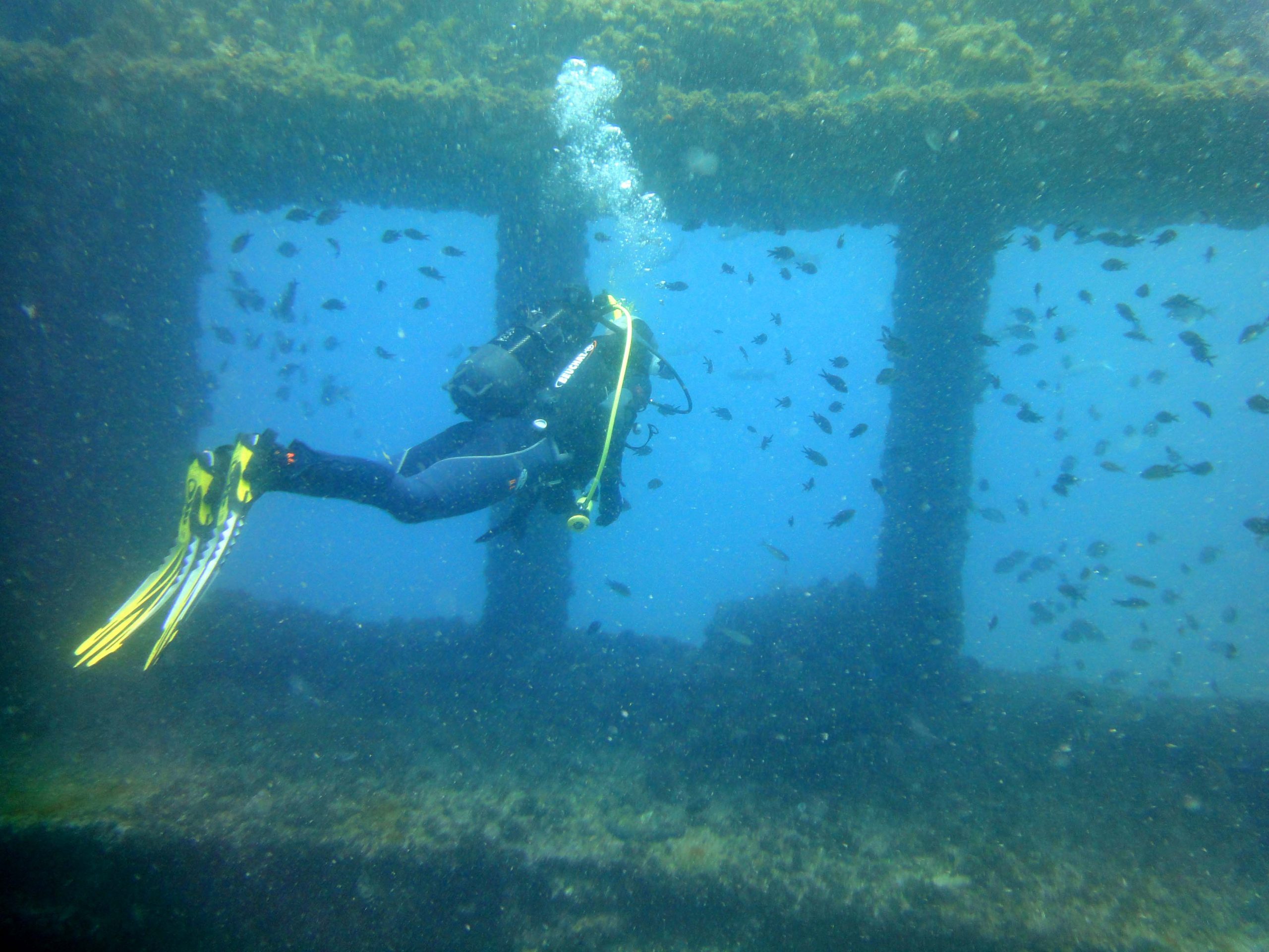 Diving in Gibraltar 2 dives 5 wrecks • BuceoEstepona.com